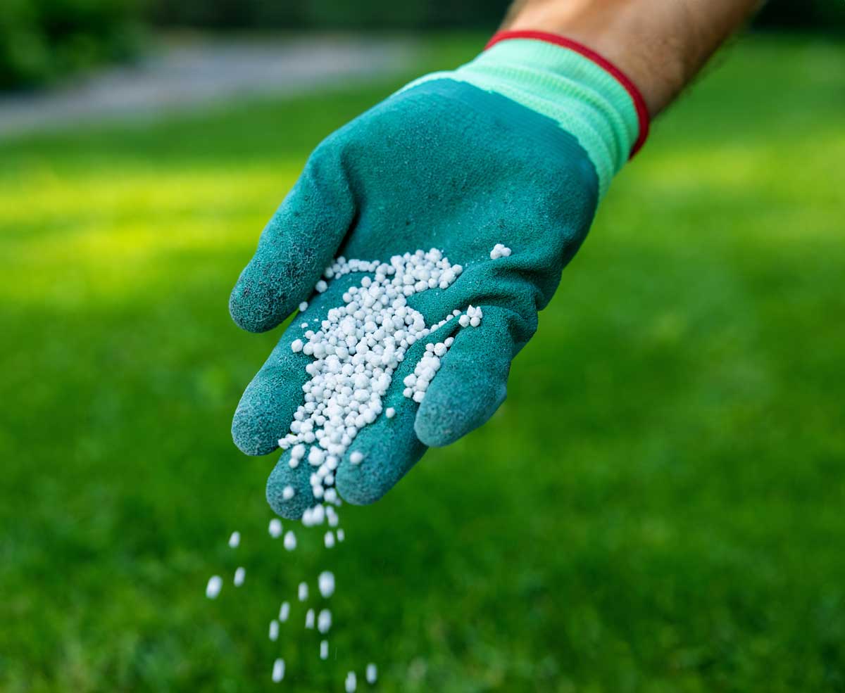 Drought-Tolerant Grass & Bulk Landscaping Products in Utah