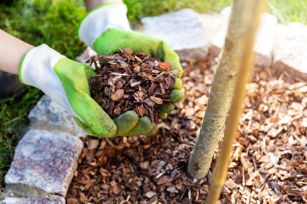 Premium Mulch & Bark in Utah | BioGrass