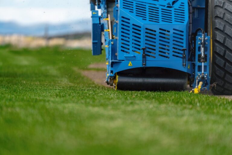 Lawn Care Guides | BioGrass
