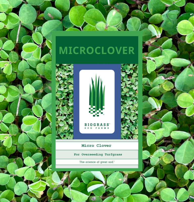 BioMeadow® Fine Fescue No-Mow Sod | BioGrass